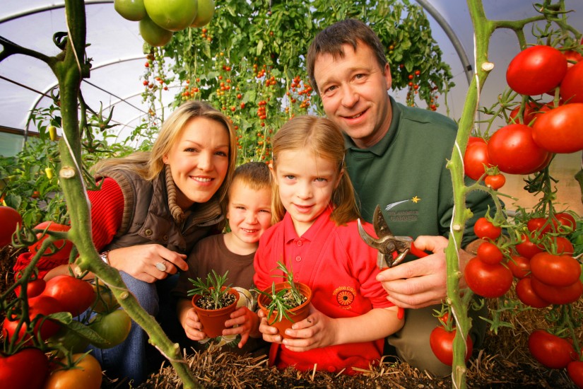 Market gardening, a small business for the green minded! | Small Business